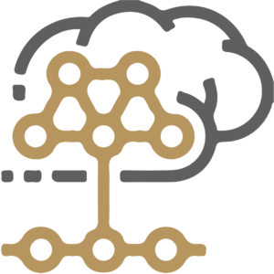 Braincode México - braincodemexico.com