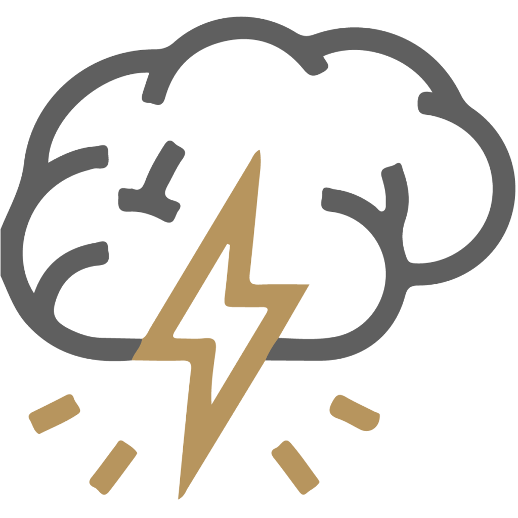 Braincode México - braincodemexico.com